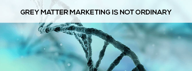The Who | Grey Matter Marketing
